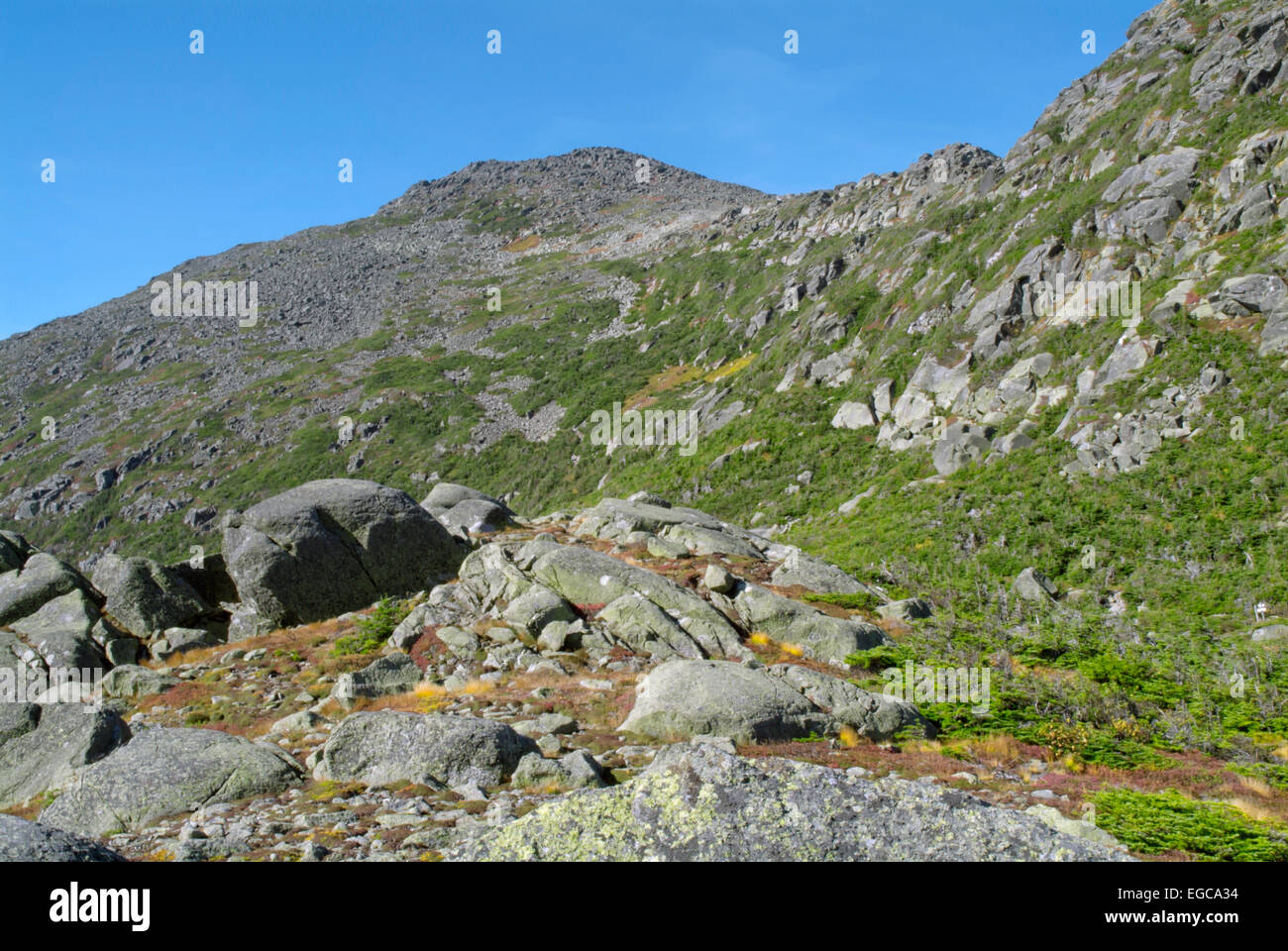 Mount Adams from the Parapet Trail, near Star Lake, in the White ...