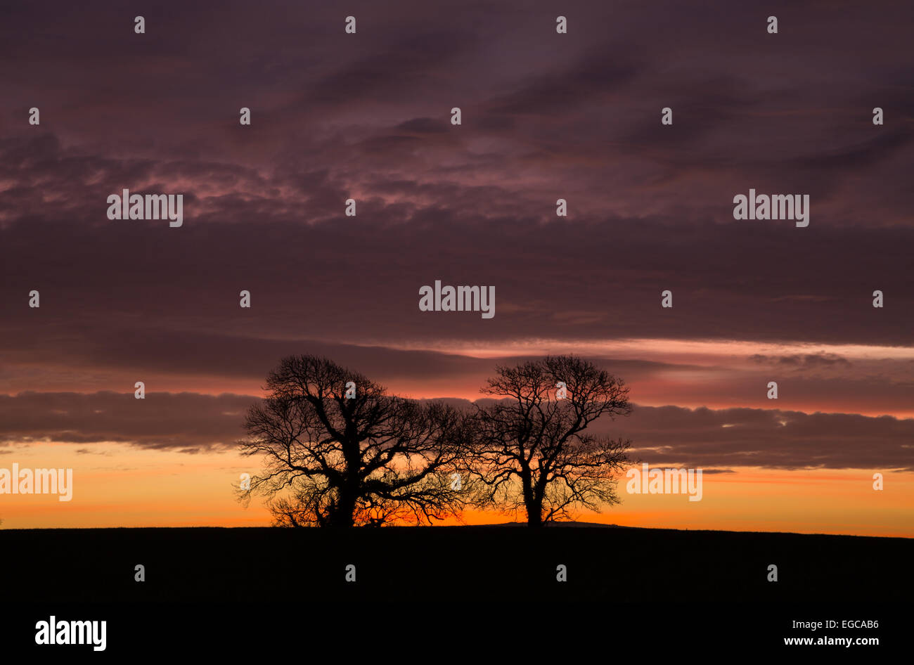First light of a new day from farmland in the village of Rilla Mill in ...
