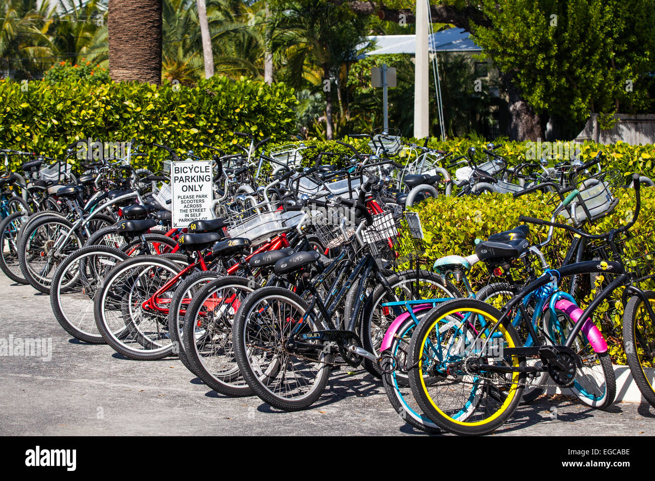 Row of Bicycles in Key West, Florida. Popular mode of Transportation on ...