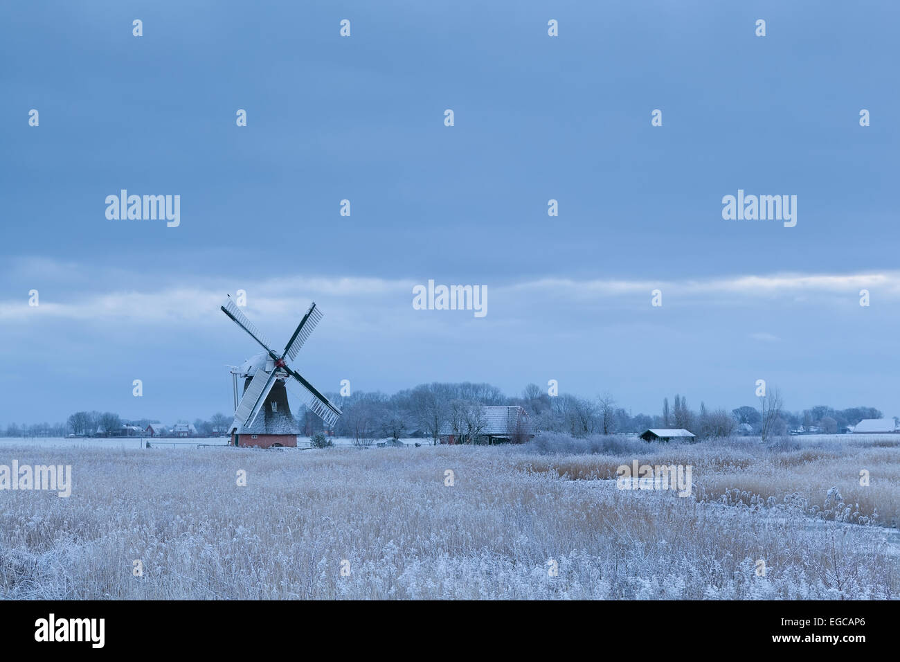Dutch windmill in winter frosty morning, Holland Stock Photo - Alamy