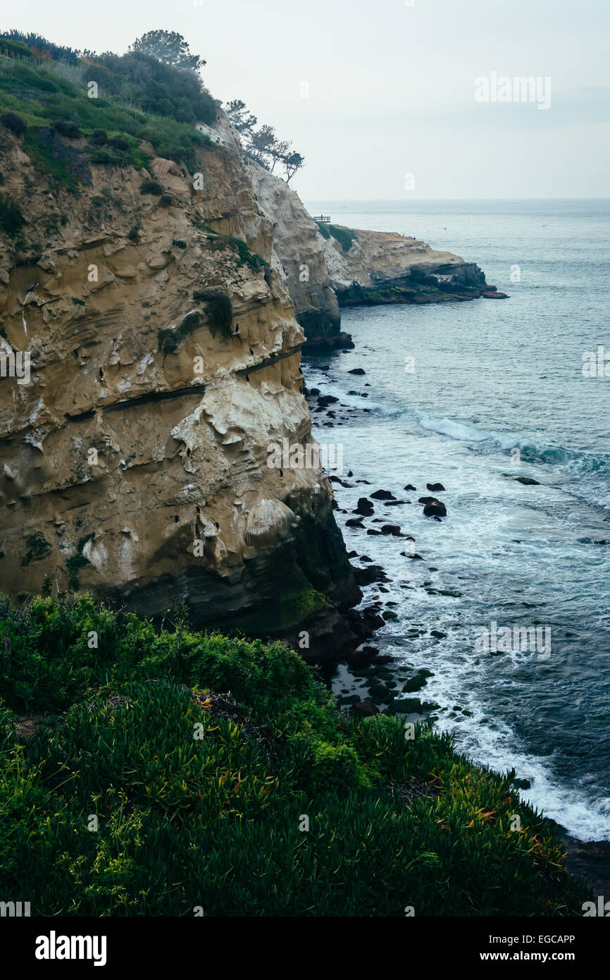 View of cliffs along the Pacific Ocean, in La Jolla, California Stock ...