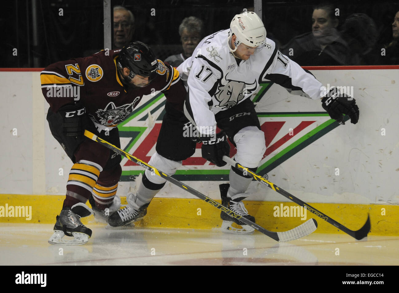 Rosemont, IL, USA. 22nd Feb, 2015. Chicago Wolves' Rob Bordson (27) and ...