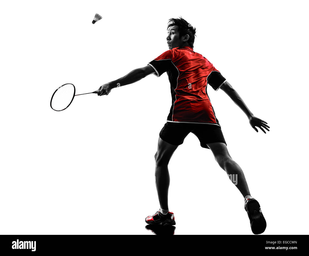 one asian badminton player young man in silhouette isolated white ...