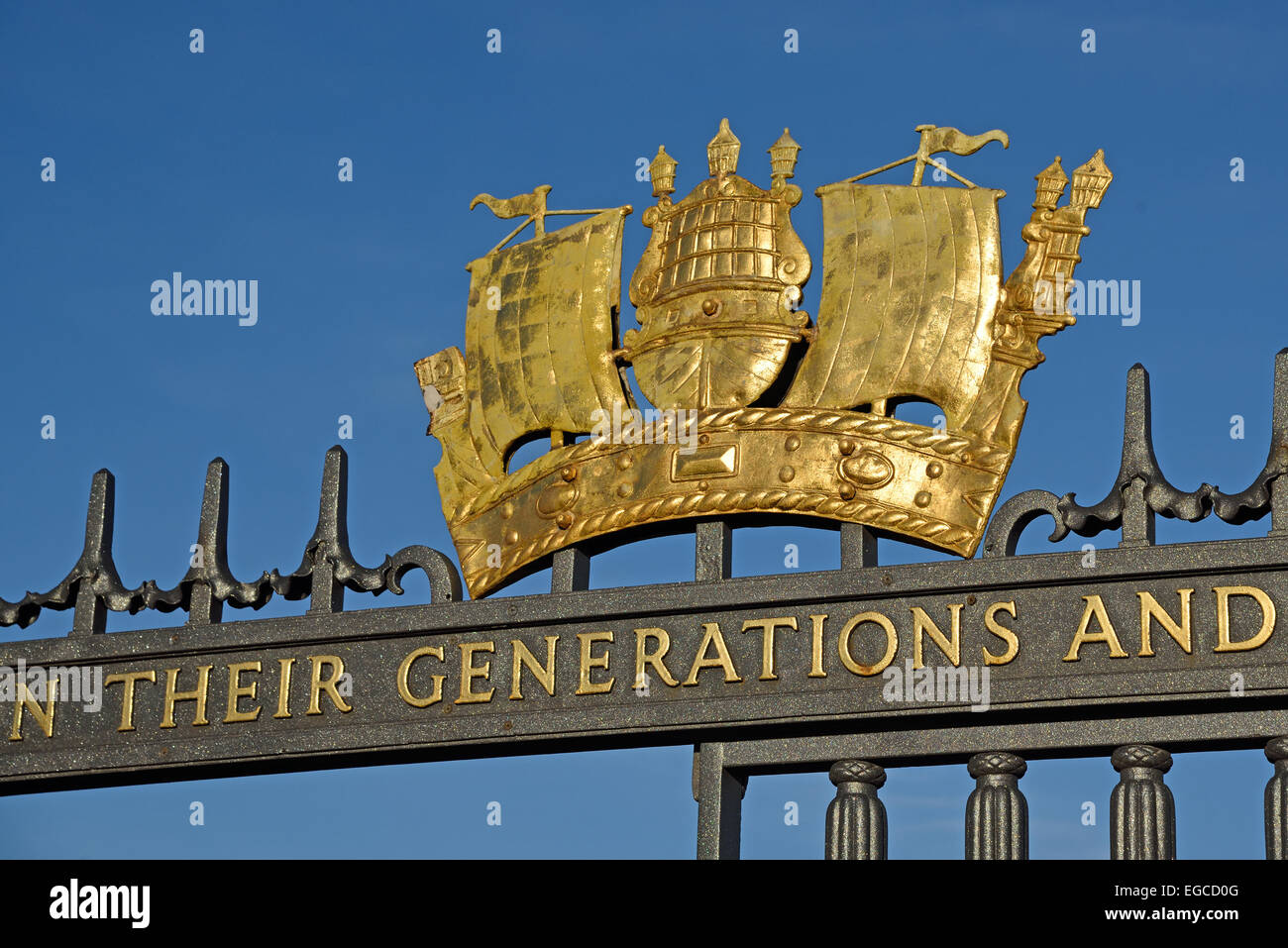 Gold crest hi-res stock photography and images - Alamy