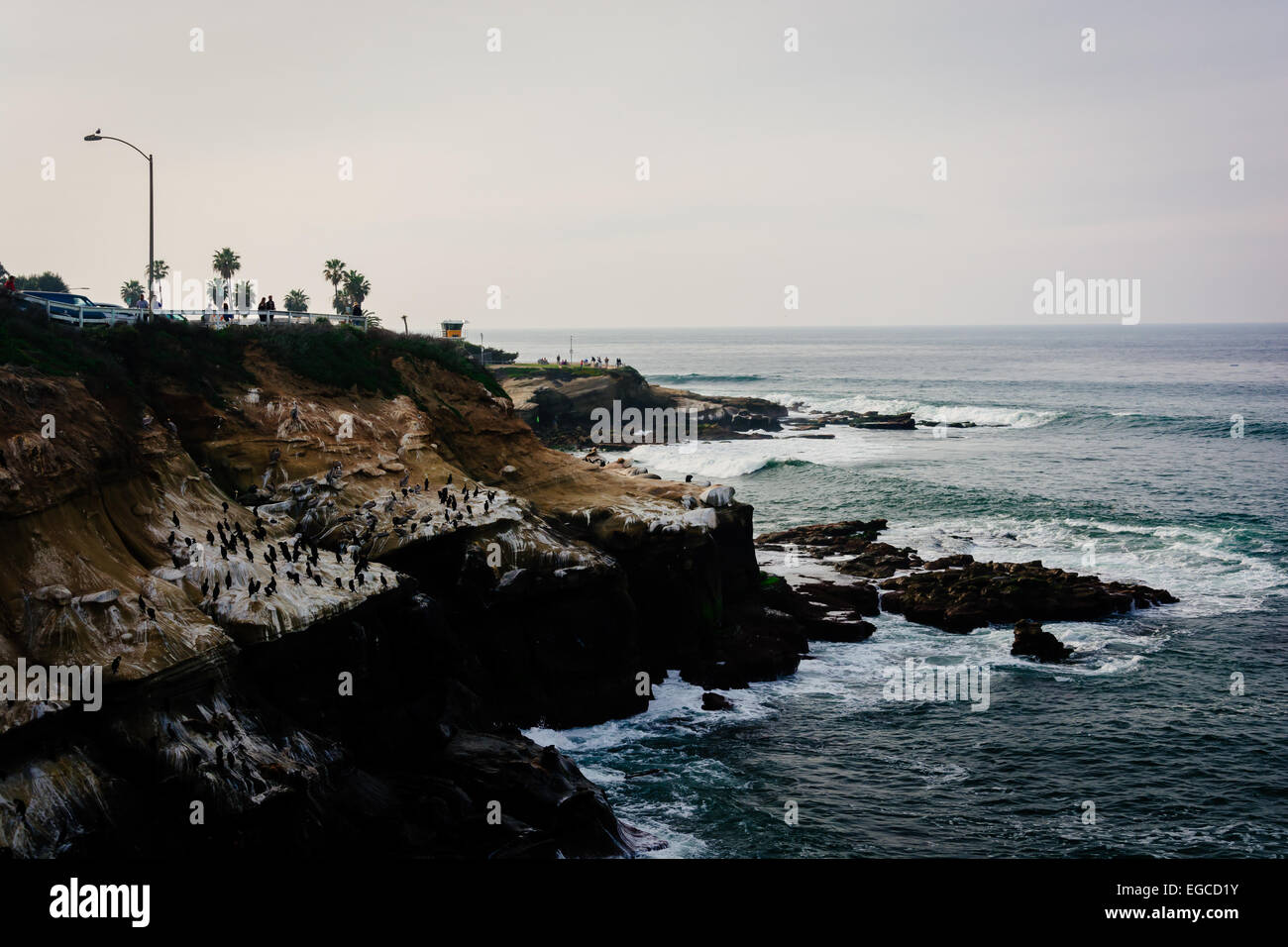 Waves crash on cliffs along the Pacific Ocean in La Jolla, California ...