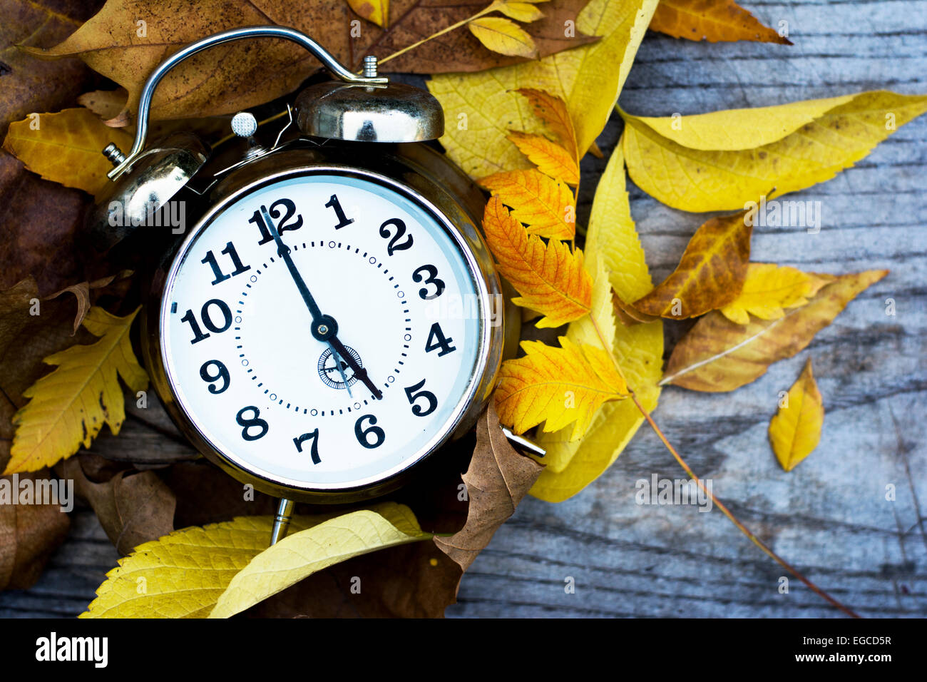 Retro metal clock standing on wooden table with leaves laying around ...
