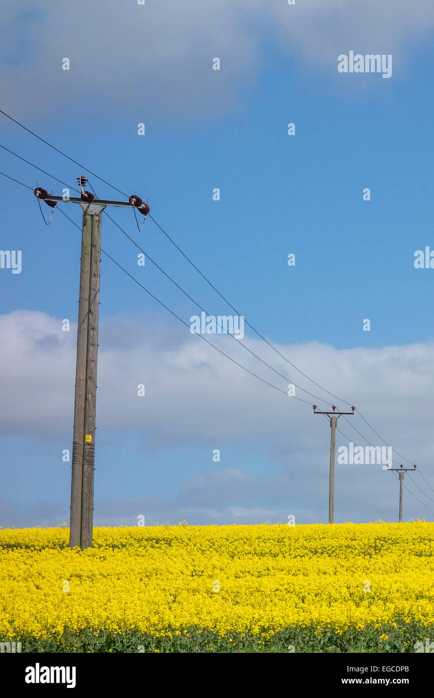 Electricity Power Lines Rural The Grid Stock Photo - Alamy