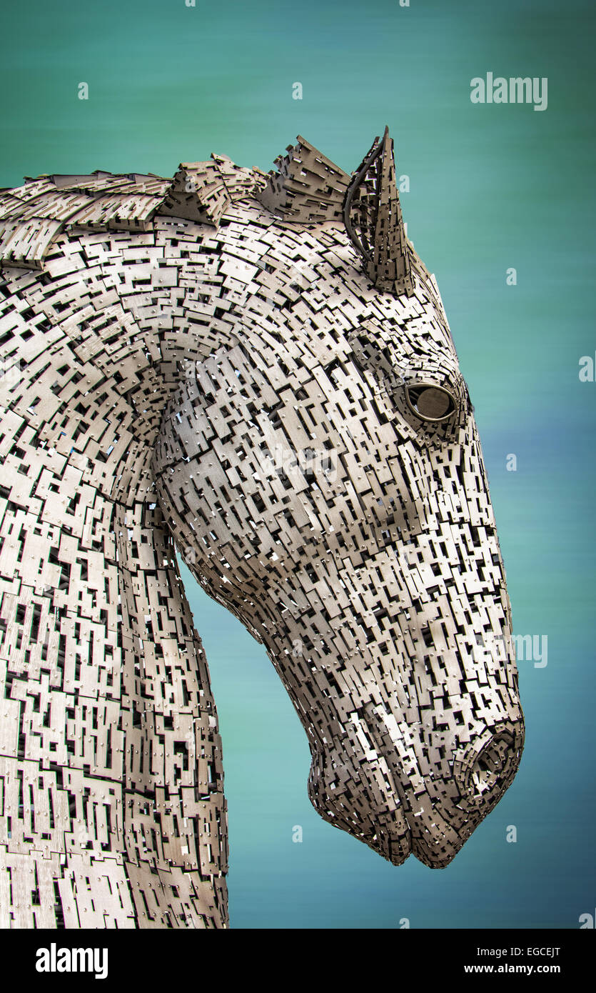 Kelpie Horse Head Stock Photo - Alamy