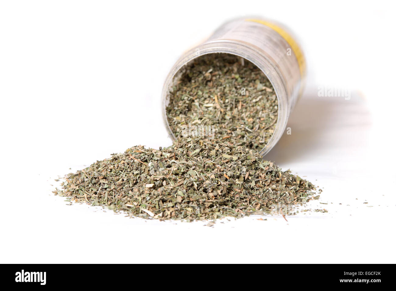 Catnip Herb High Resolution Stock Photography and Images - Alamy