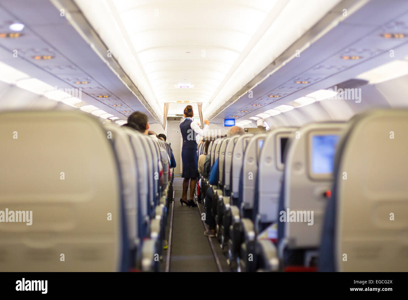 Stewardess on the airplane Stock Photo - Alamy