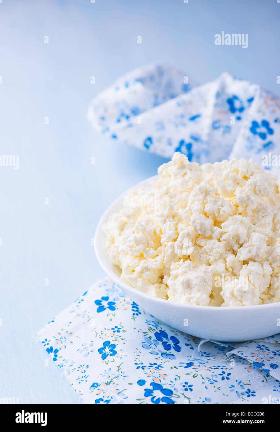 Cottage cheese in white bowl over light blue background, selective ...
