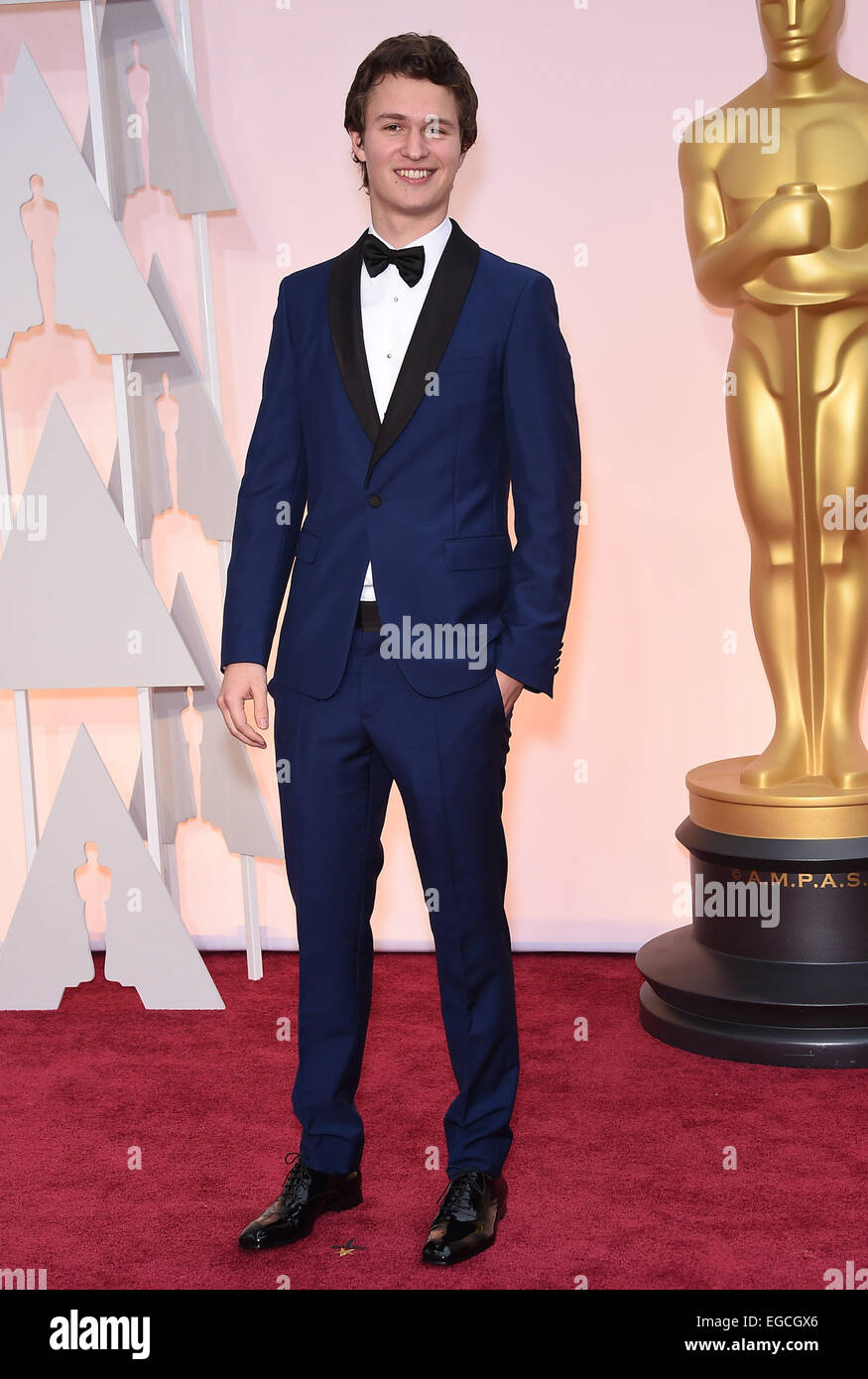 Hollywood, California, USA. 22nd Feb, 2015. Actor ANSEL ELGORT attends ...