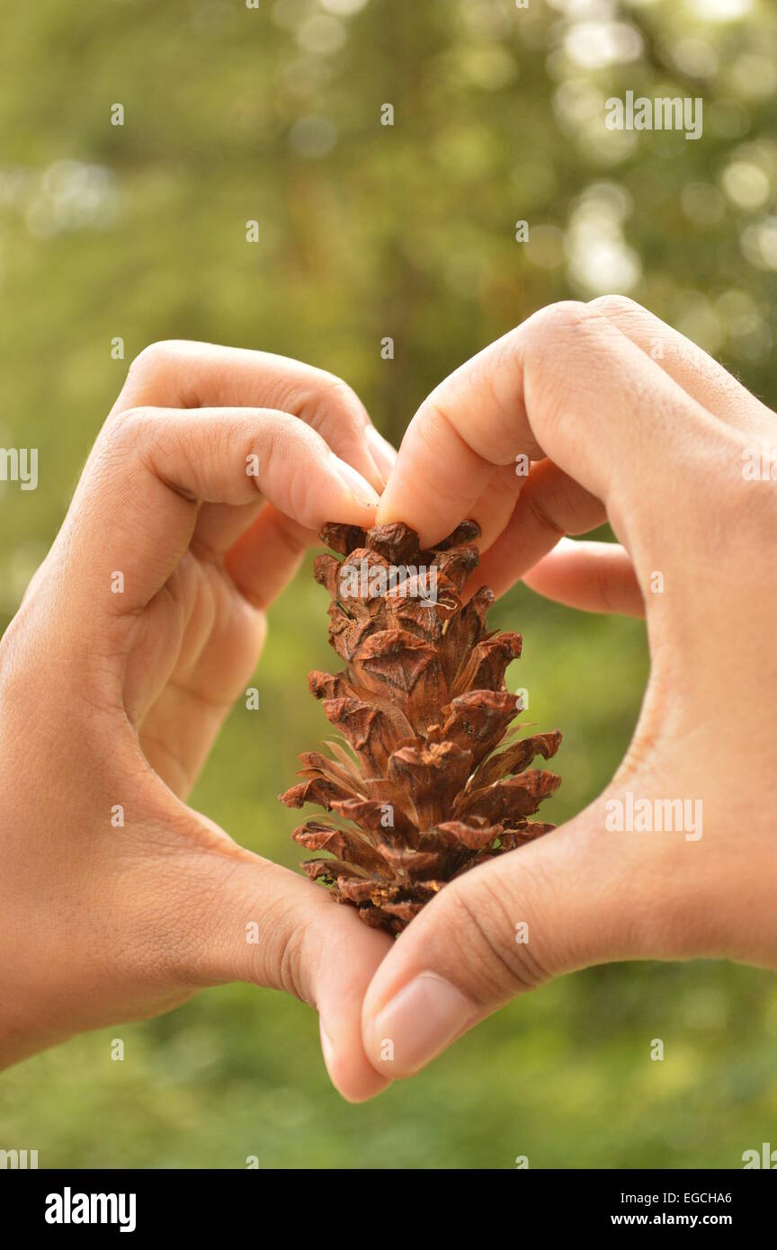 Little bud hi-res stock photography and images - Alamy