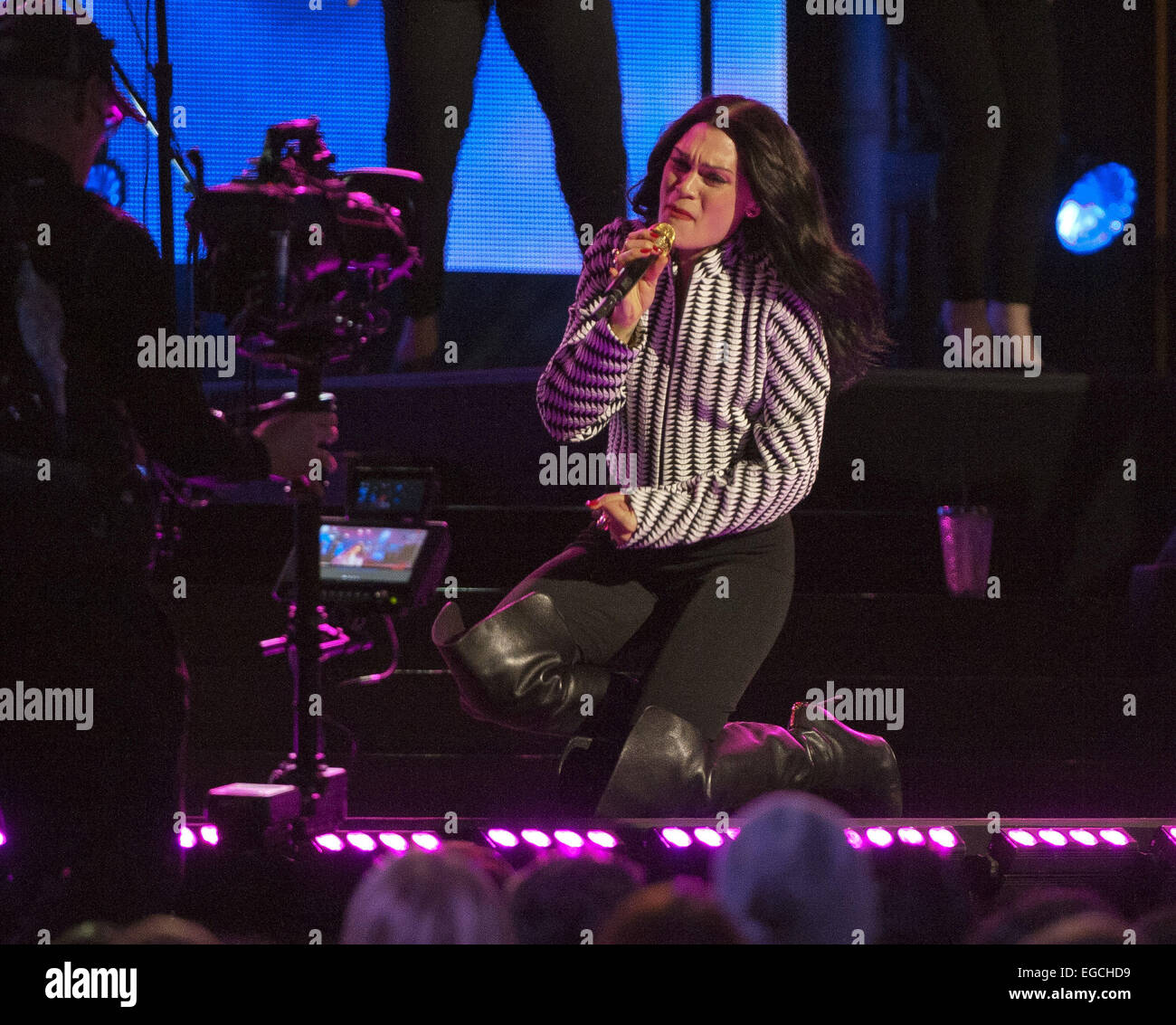 Hollywood, California, USA. 20th Nov, 2014. English singer Jessie J ...