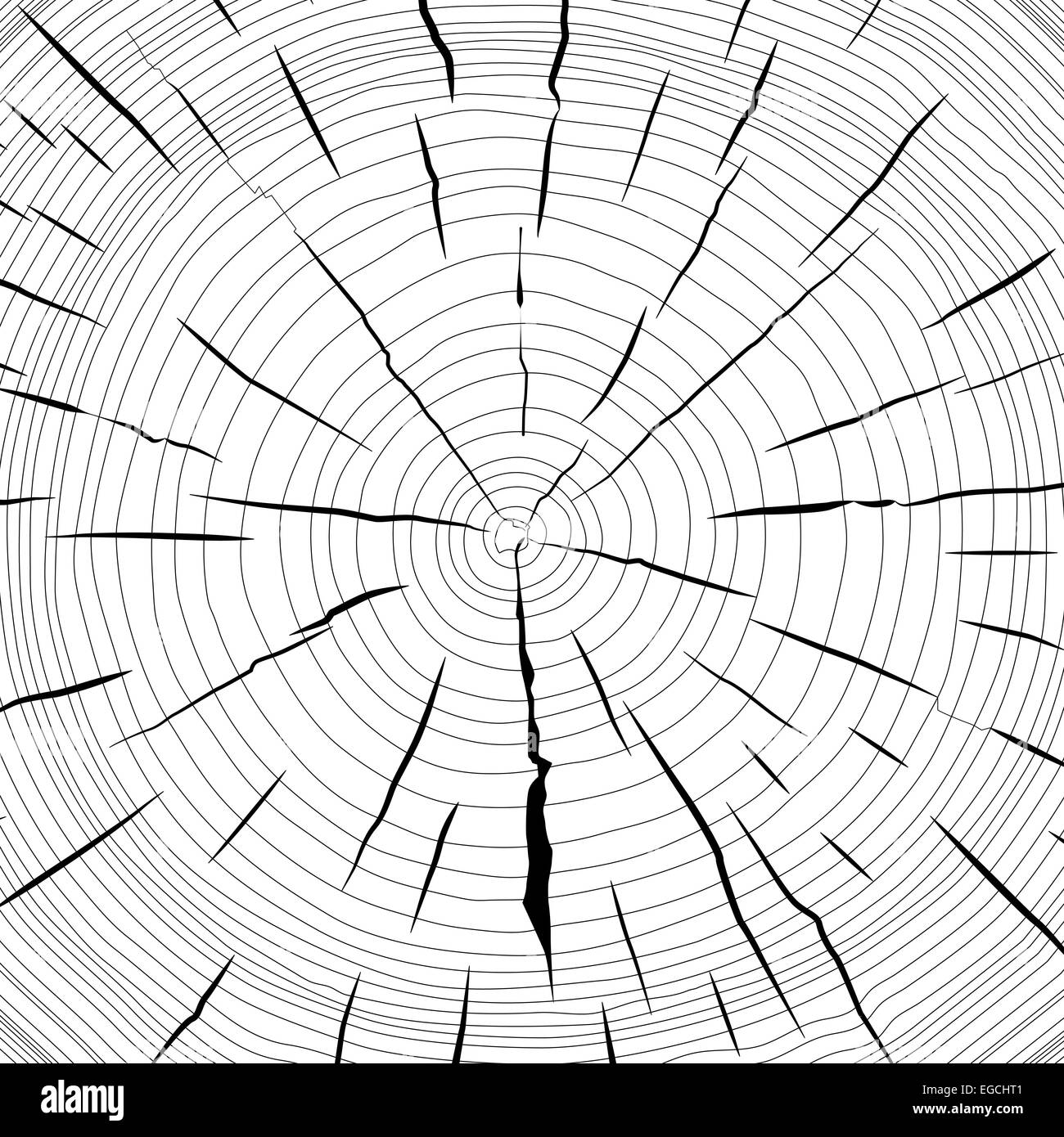 Growth rings oak tree Black and White Stock Photos & Images - Alamy