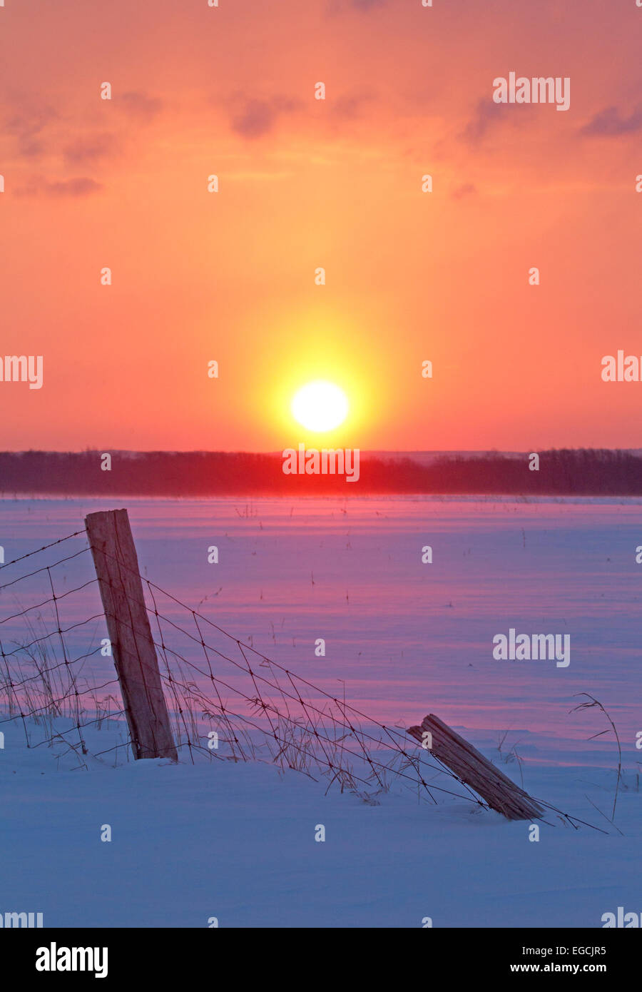 Cold Colorful Snowy Sunrise Stock Photo - Alamy
