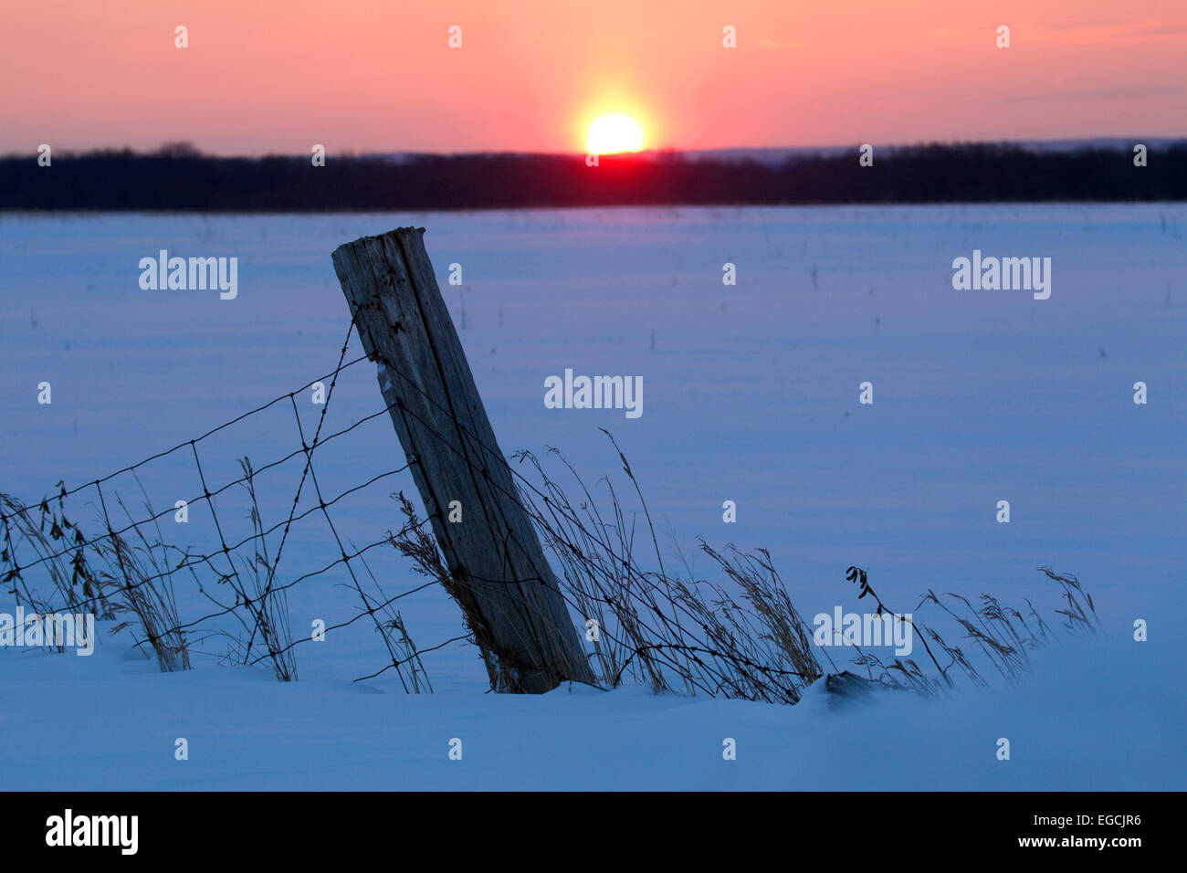 Cold Colorful Snowy Sunrise Stock Photo - Alamy