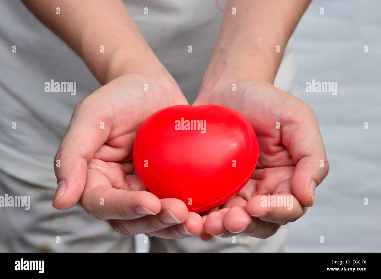 Heart in heart hands Stock Photo - Alamy