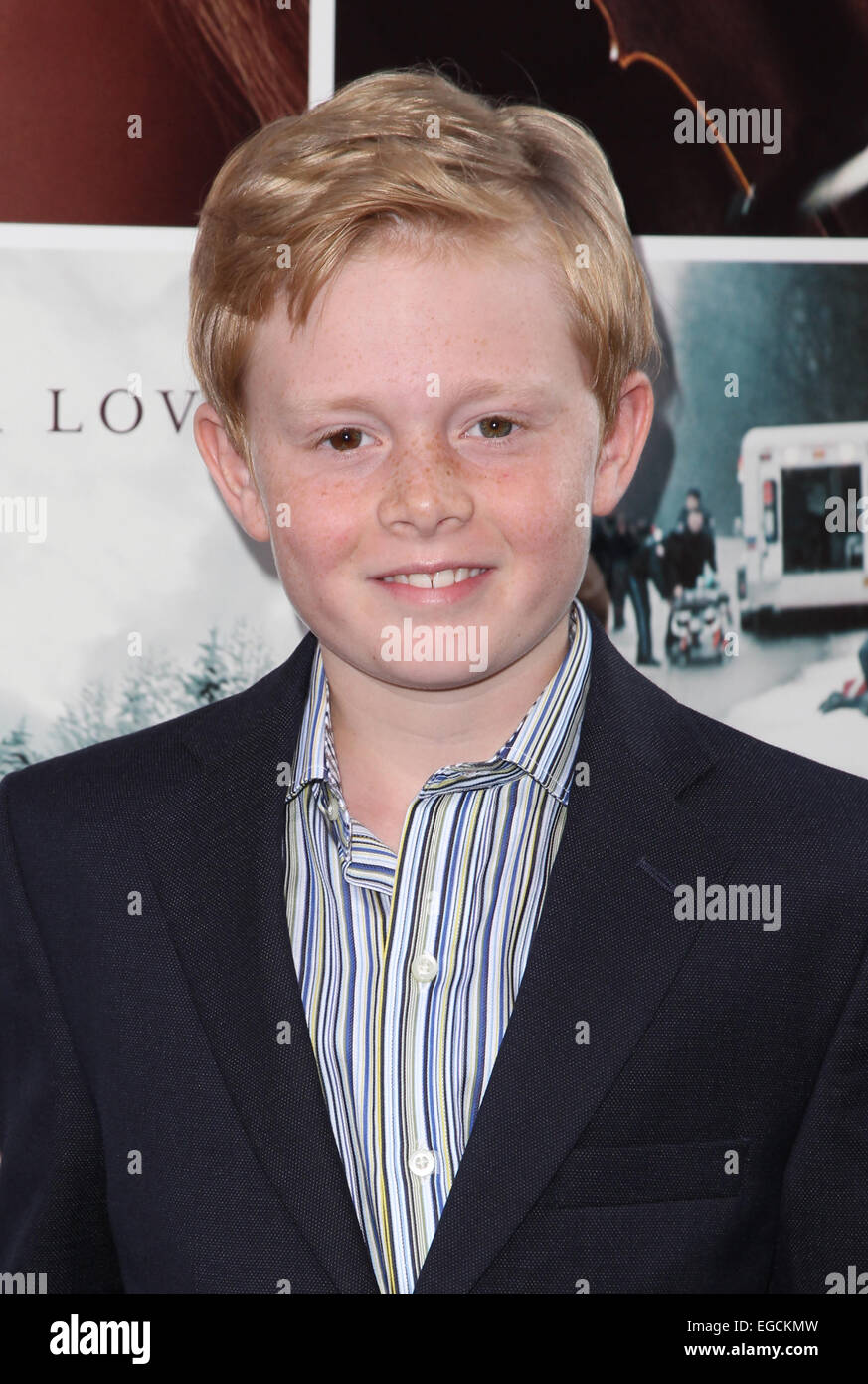 Los Angeles Premiere of 'If I Stay' held at the TCL Chinese Theatre ...