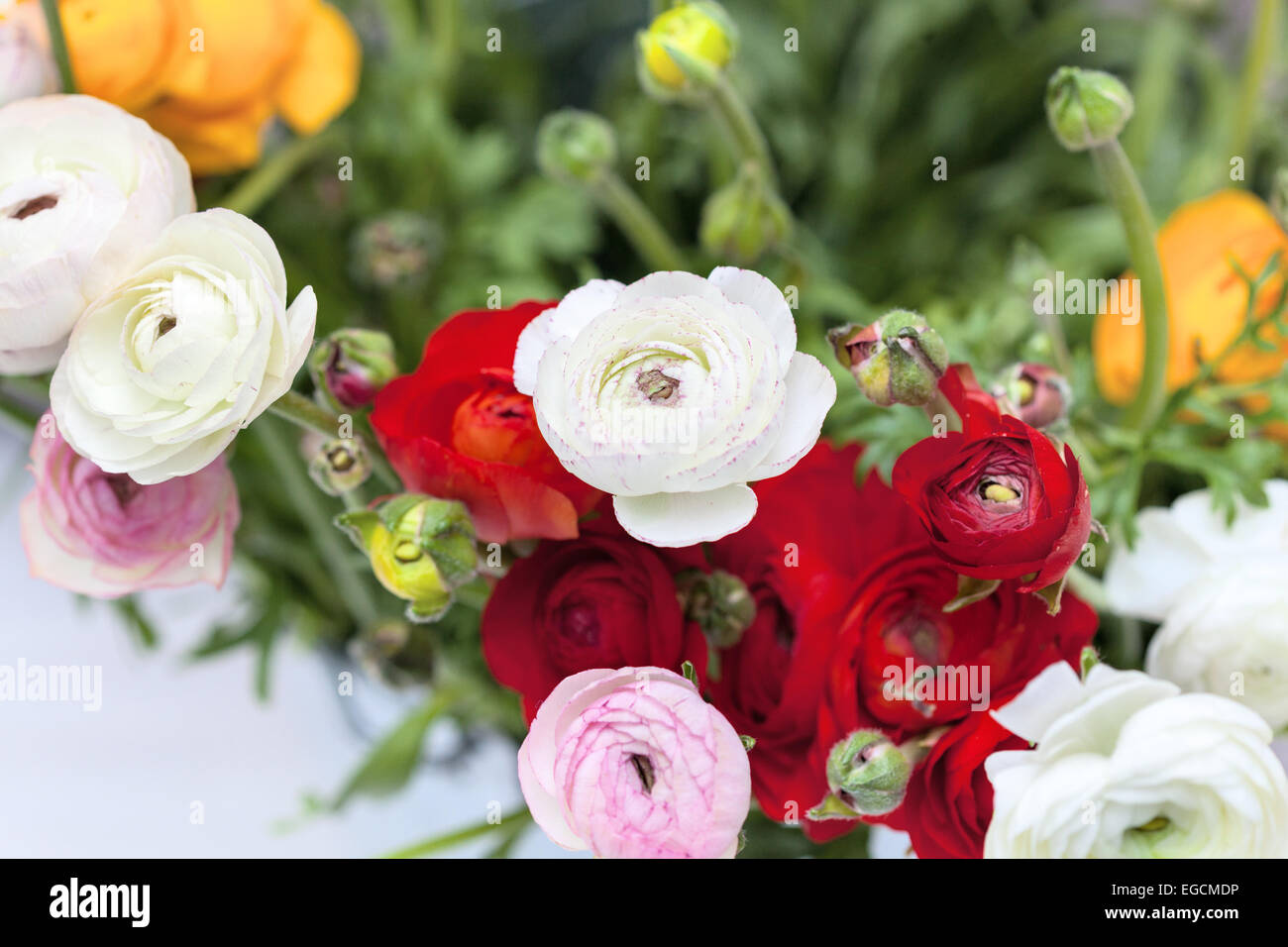 Bunch of random flowers closeup Stock Photo - Alamy