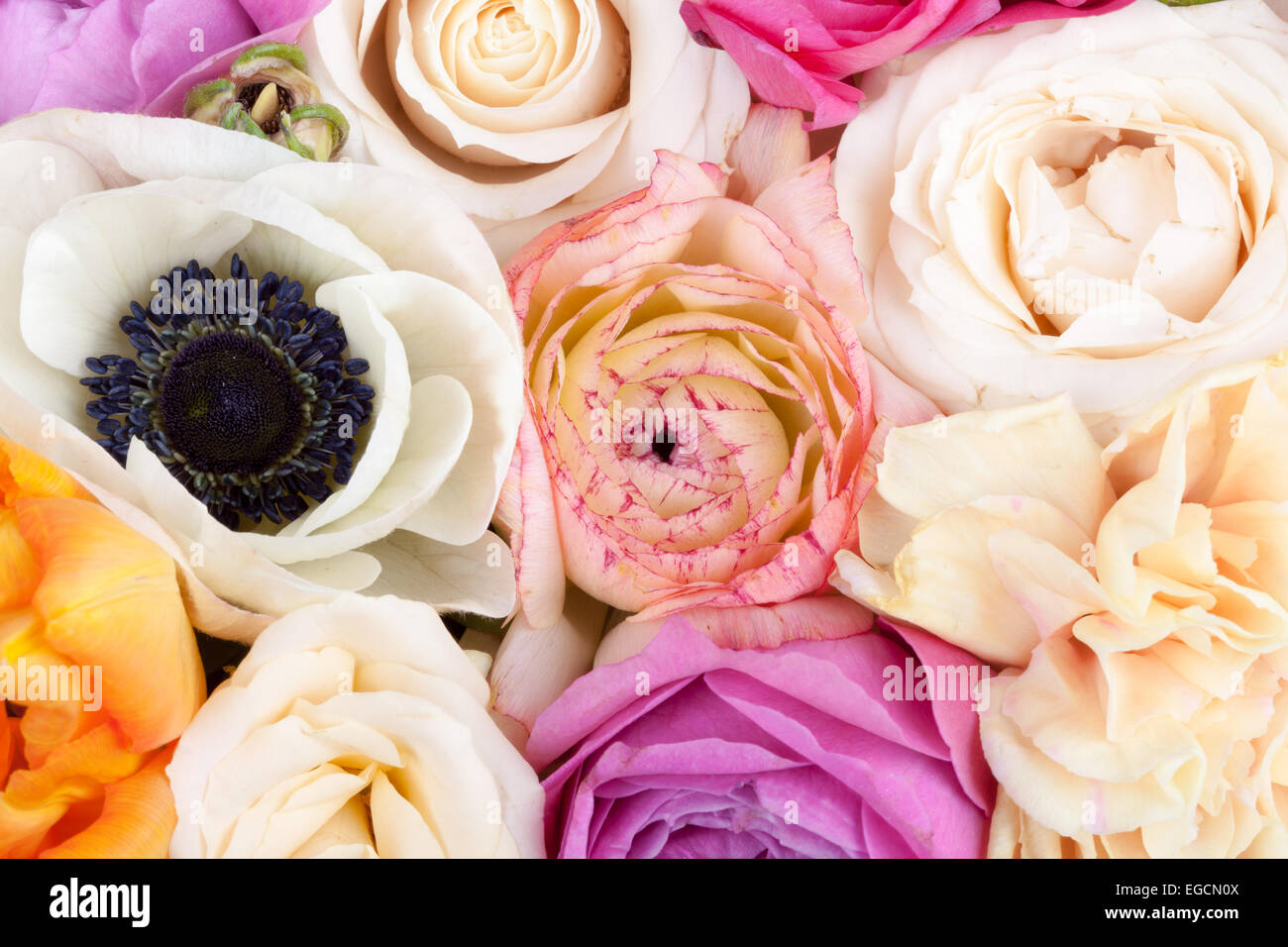 Amazing colorful flower bouquet close up Stock Photo - Alamy