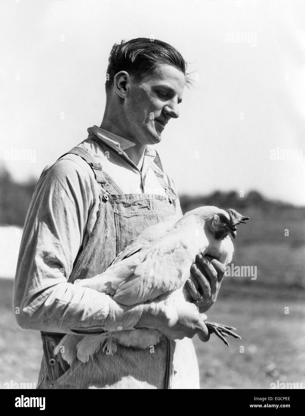 Person holding rooster Black and White Stock Photos & Images - Alamy
