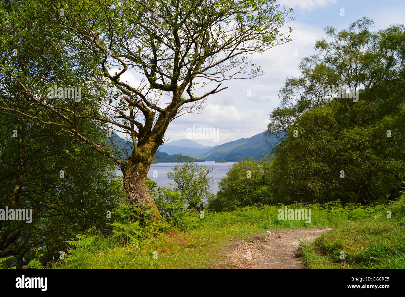 Looking South down Loch Lomond, Scottish Highlands Stock Photo - Alamy