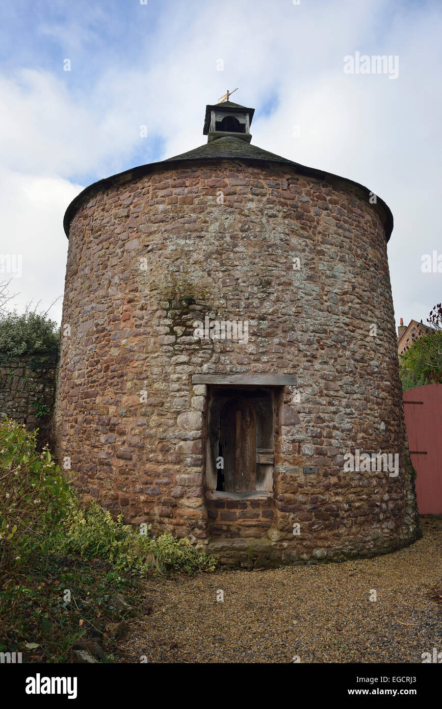 Dovecote pigeon hi-res stock photography and images - Alamy