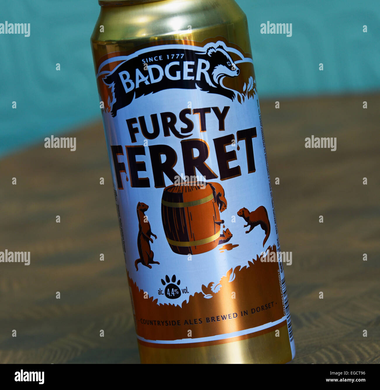 Ferret badger hi-res stock photography and images - Alamy