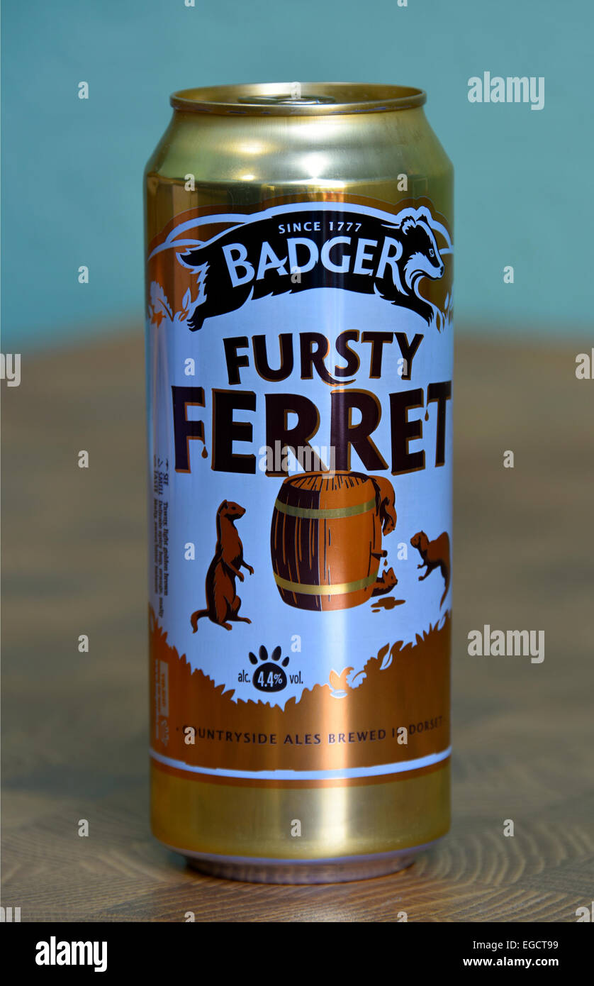 Fursty ferret hi-res stock photography and images - Alamy