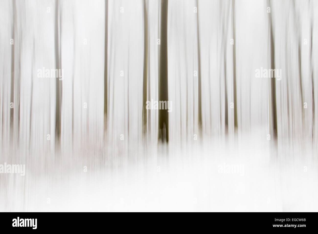 Abstract winter forest hi-res stock photography and images - Alamy