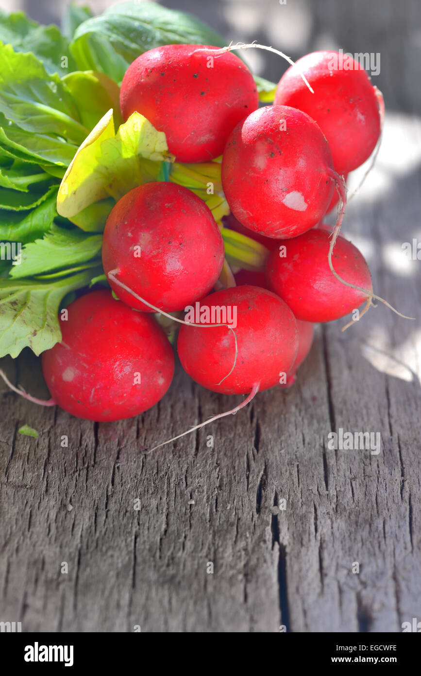 Radishes on rustic wooden background Stock Photo - Alamy