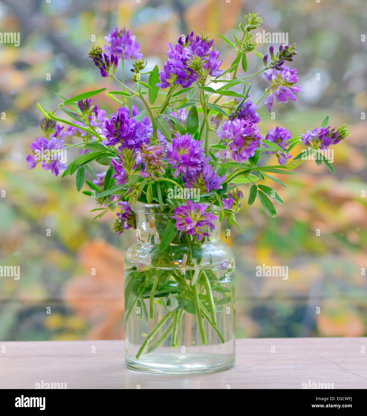 abstract violet flowers in vase Stock Photo - Alamy