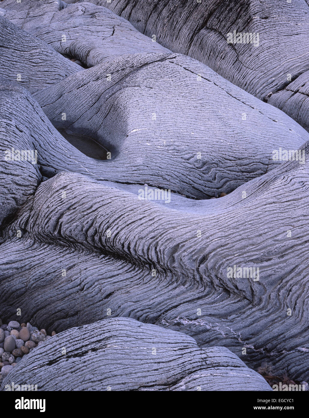 Curved rock details at Imacher Point, Arran, Scotland Stock Photo - Alamy