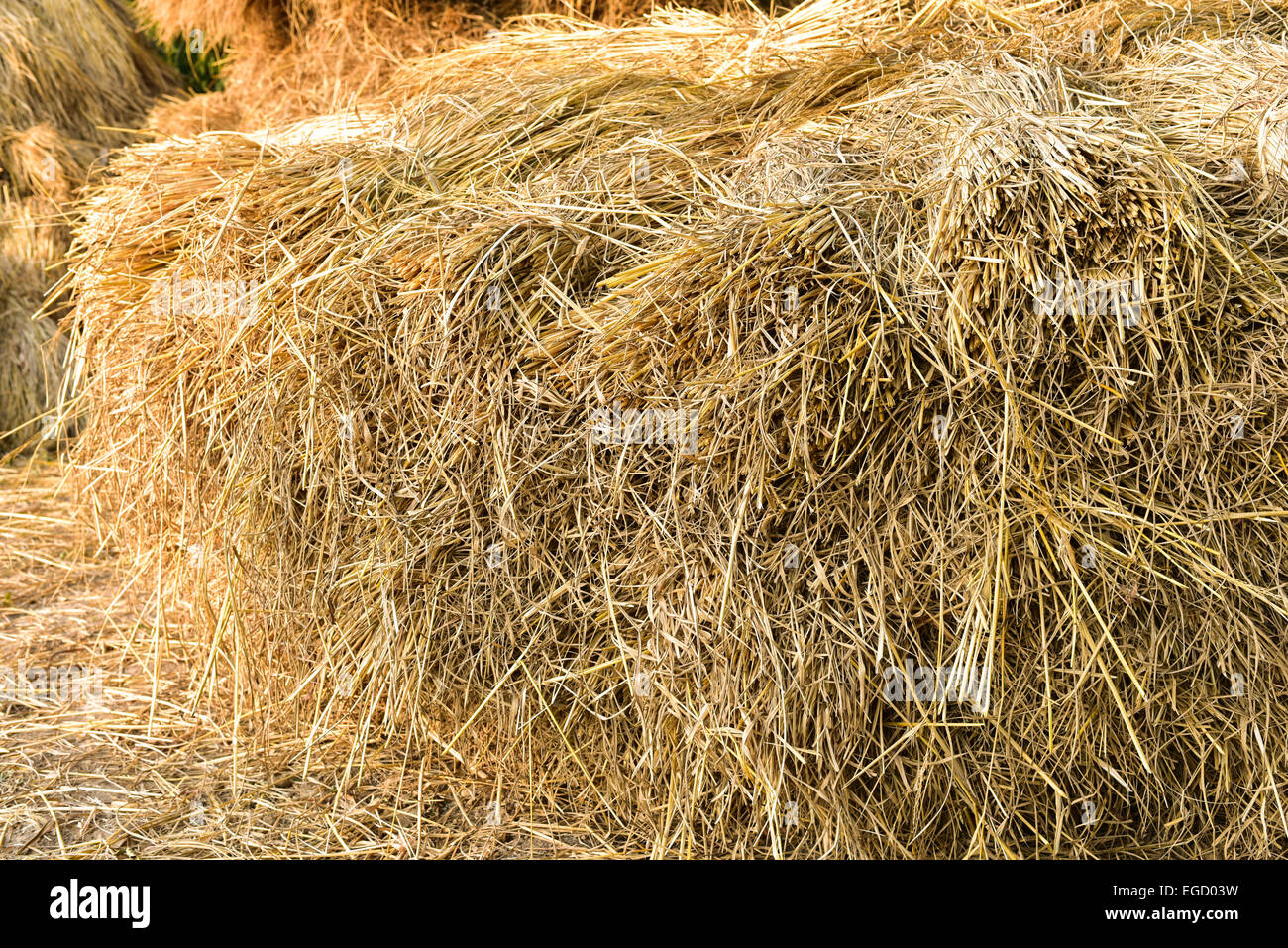 Hay bale on the ground Stock Photo - Alamy