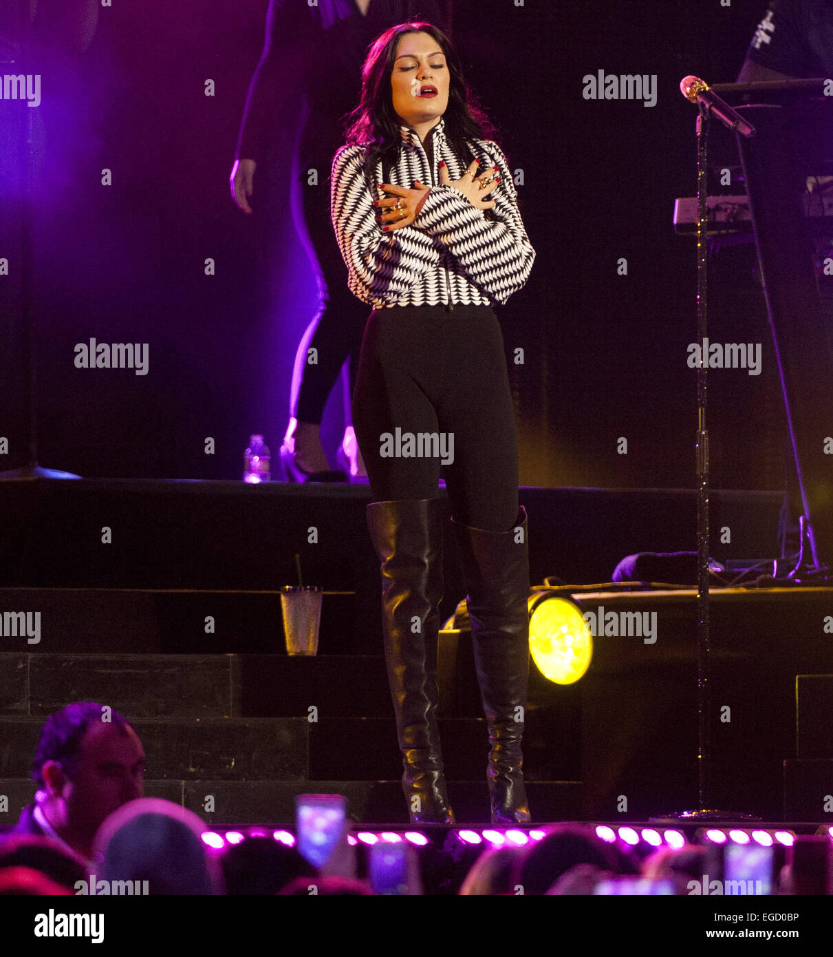 Hollywood, California, USA. 20th Nov, 2014. English singer Jessie J ...