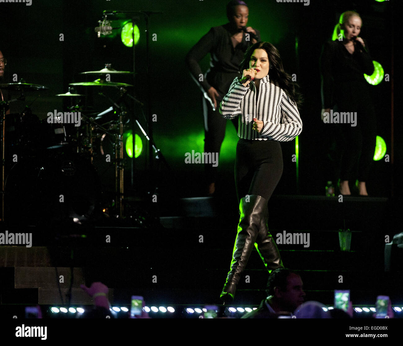 Hollywood, California, USA. 20th Nov, 2014. English singer Jessie J ...