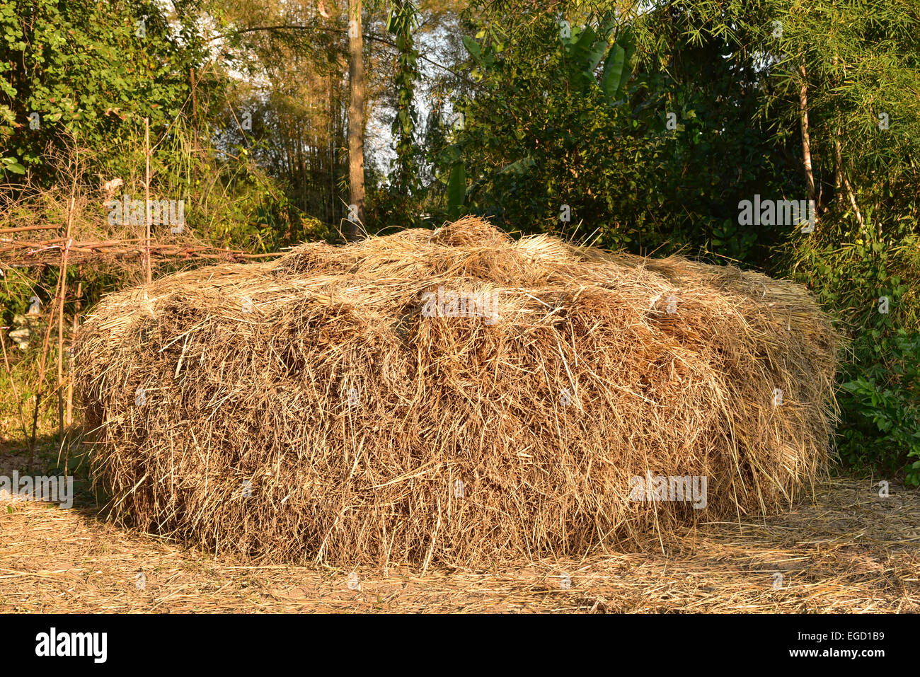Hay stack seat hi-res stock photography and images - Alamy
