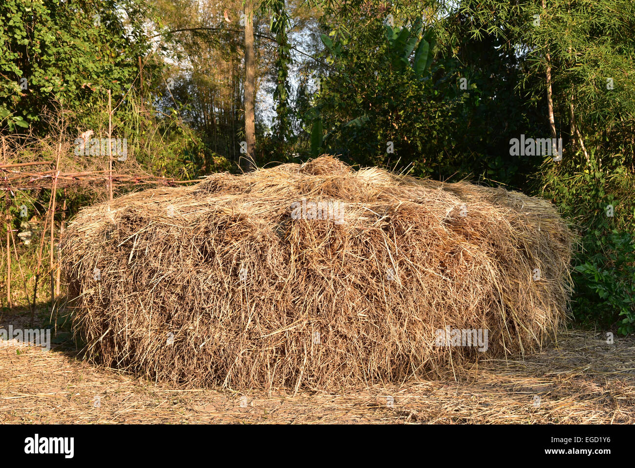 Hay bale on the ground Stock Photo - Alamy
