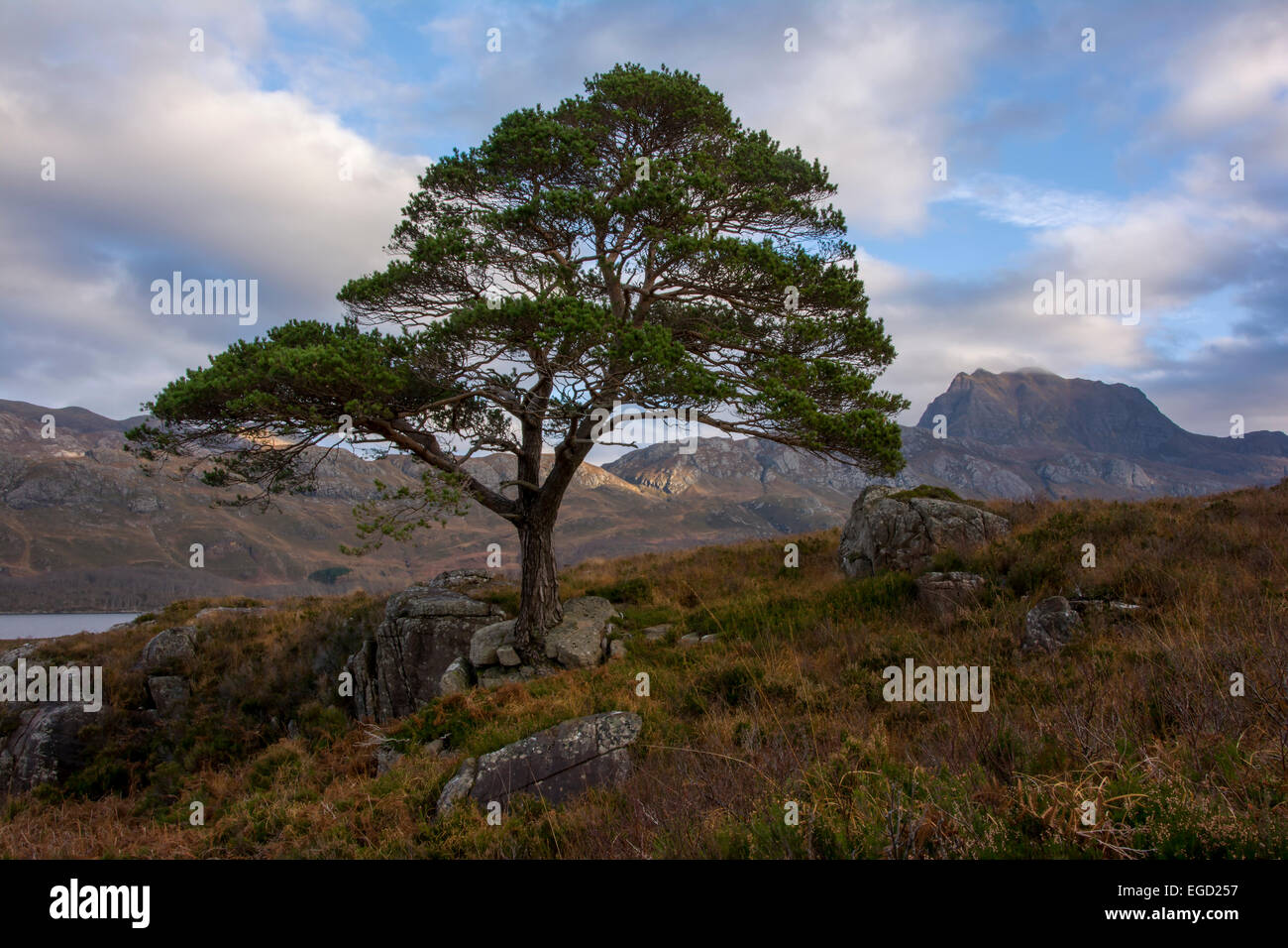 Slioch, Loch Maree, Wester Ross, Scotland, United Kingdom Stock Photo ...