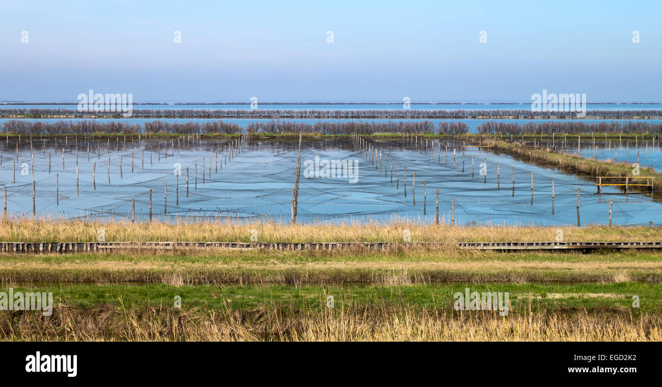 Italy, Po delta park, the south area of the Comacchio lagoon Stock ...