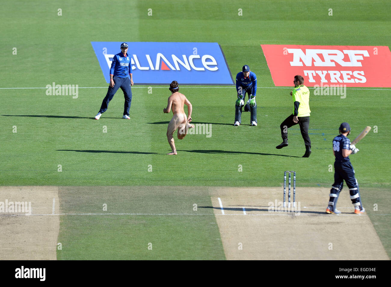 Scotland worldcup scotland hi-res stock photography and images - Alamy