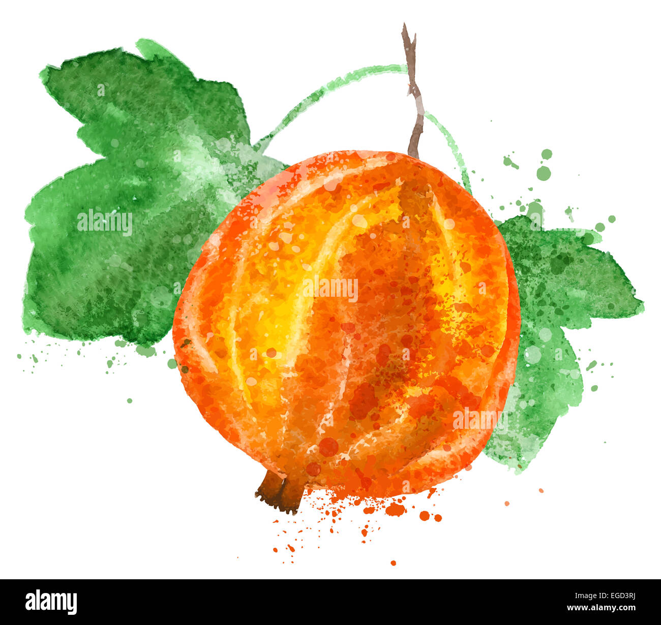 Food banner template design Cut Out Stock Images & Pictures - Alamy