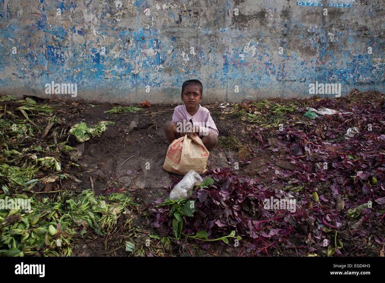 Slum boy Shawqat collecting vegetable from rotten garbage at Shambazar ...