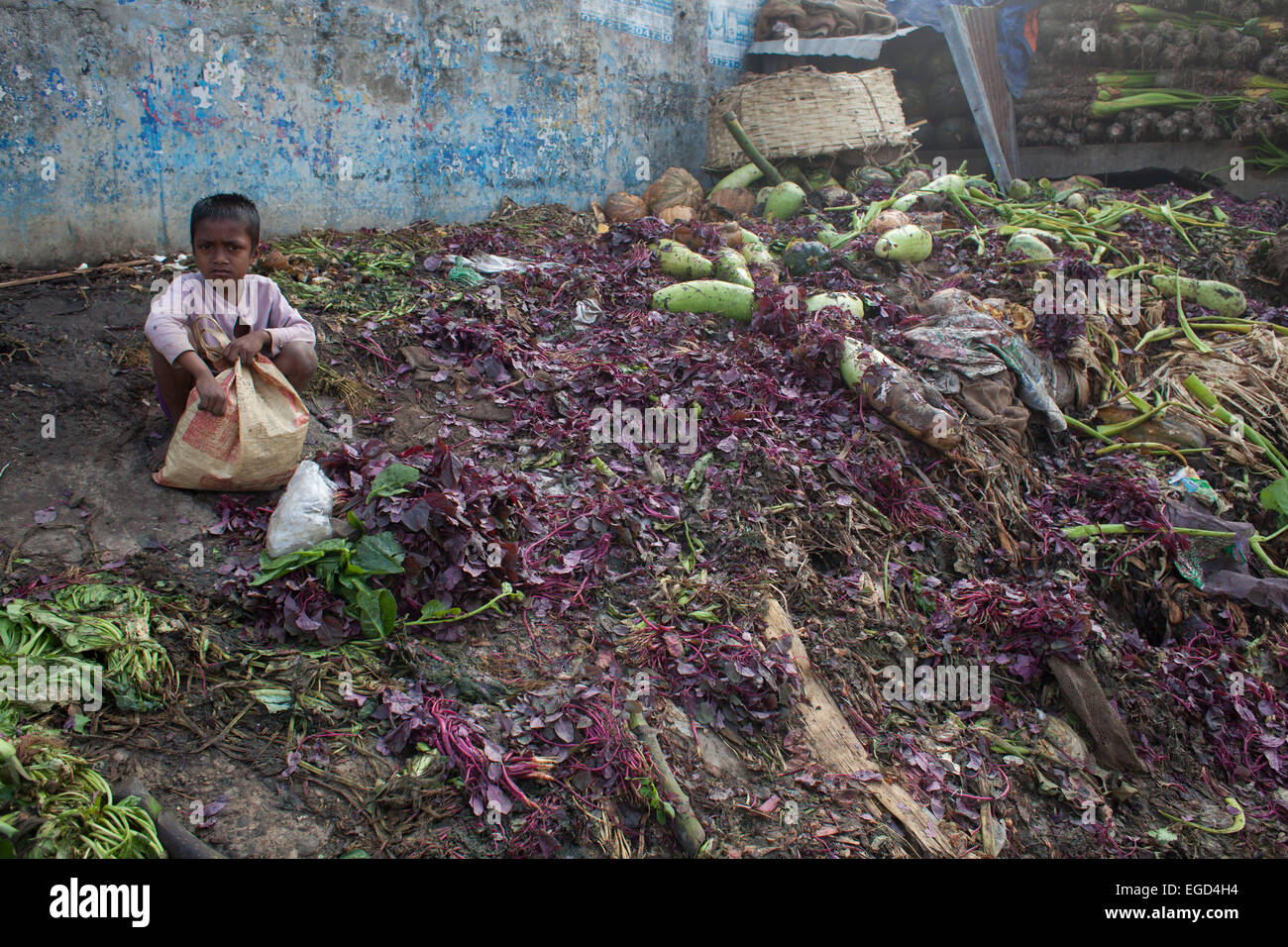 Slum boy Shawqat collecting vegetable from rotten garbage at Shambazar ...