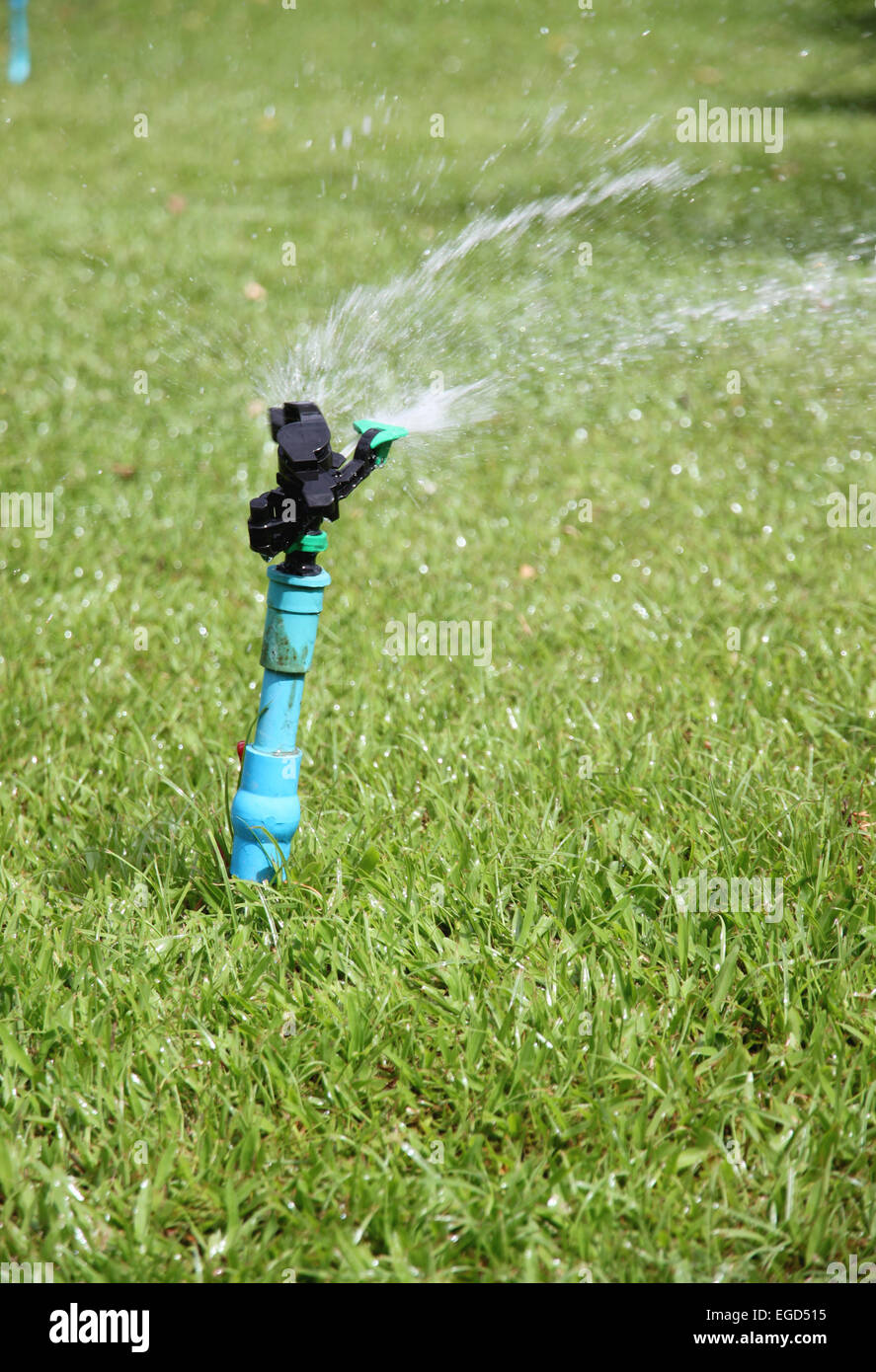 Sprinkler garden hi-res stock photography and images - Alamy