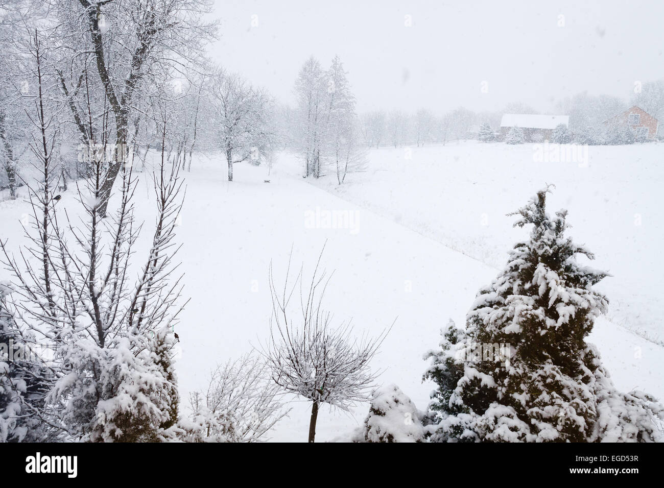 Rural landscape in winter snowy day, view from second floor of house ...