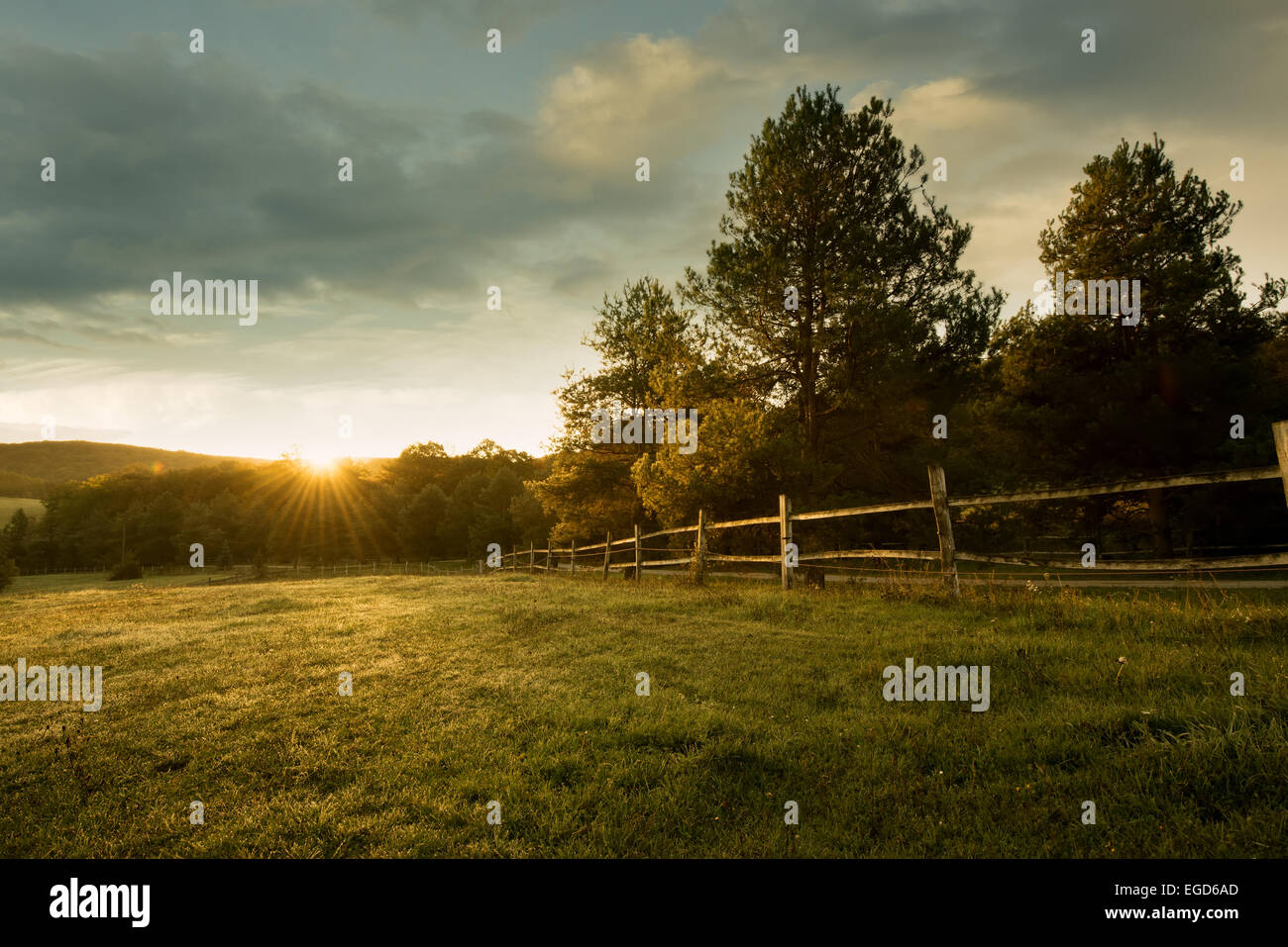 Fe nature hi-res stock photography and images - Alamy