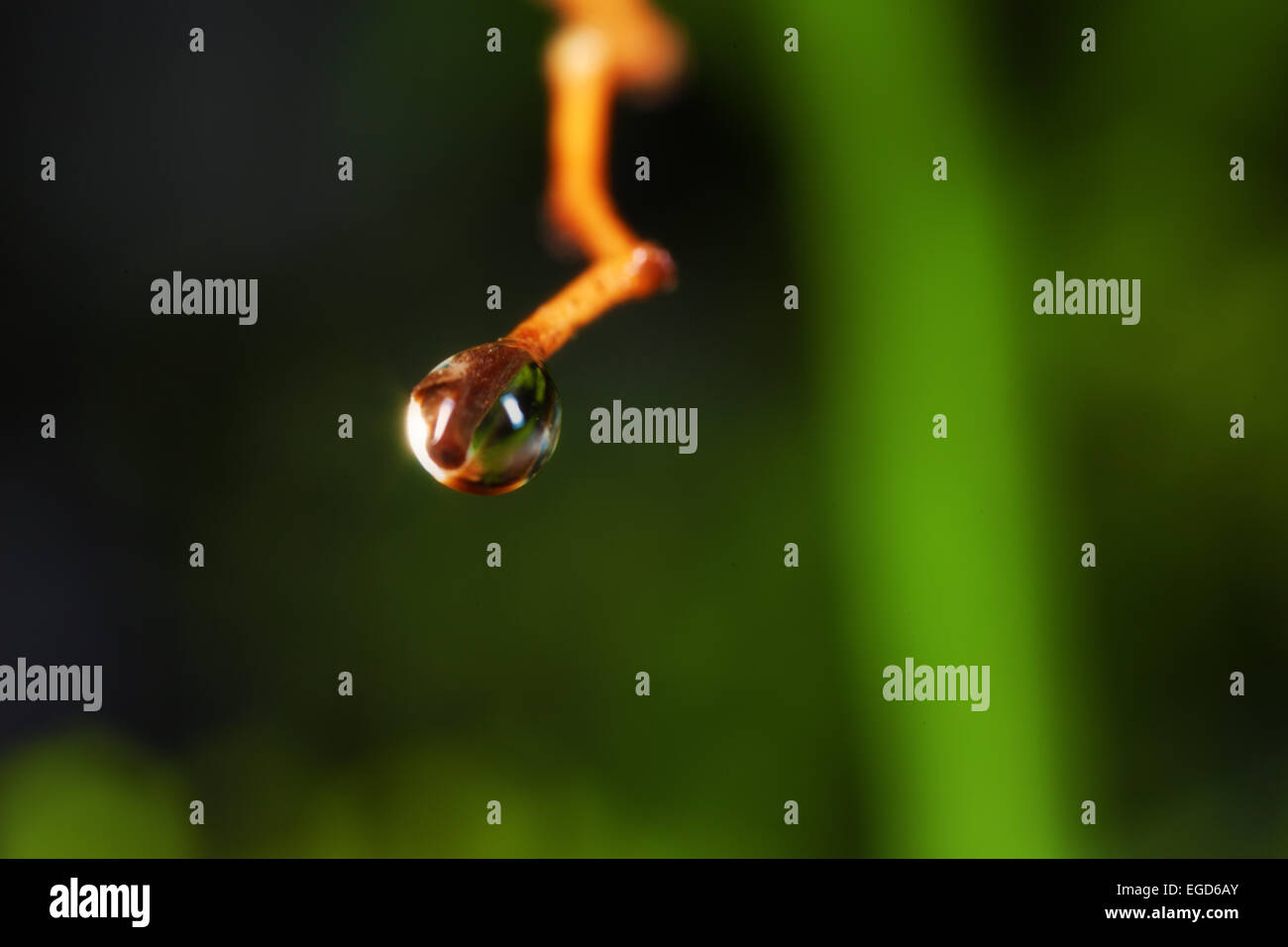 Flare drop hi-res stock photography and images - Alamy