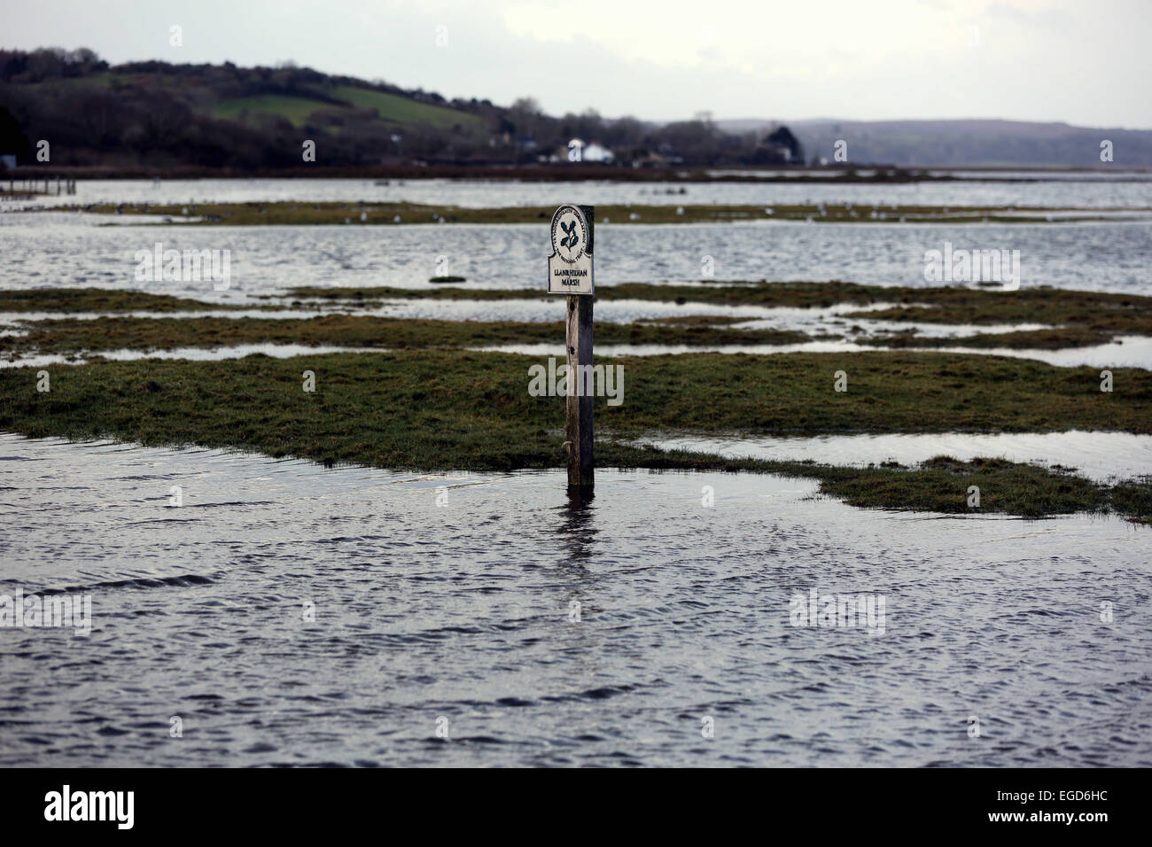 Crofty, UK. Monday 23 February 2015 Pictured: A National Trust ...